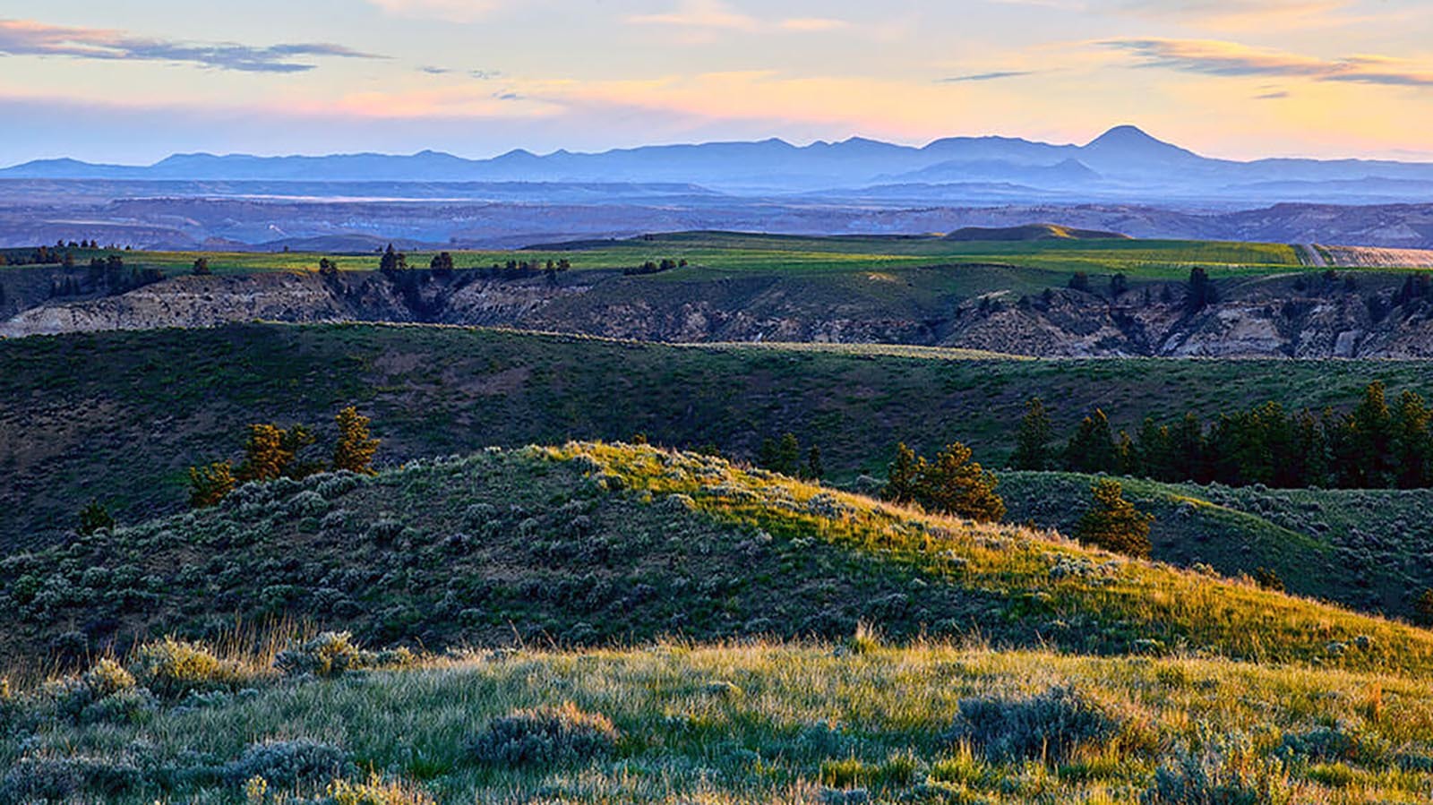 Couple Donate Legacy 38,000-Acre, $21 Million Cattle Ranch To Keep It A ...