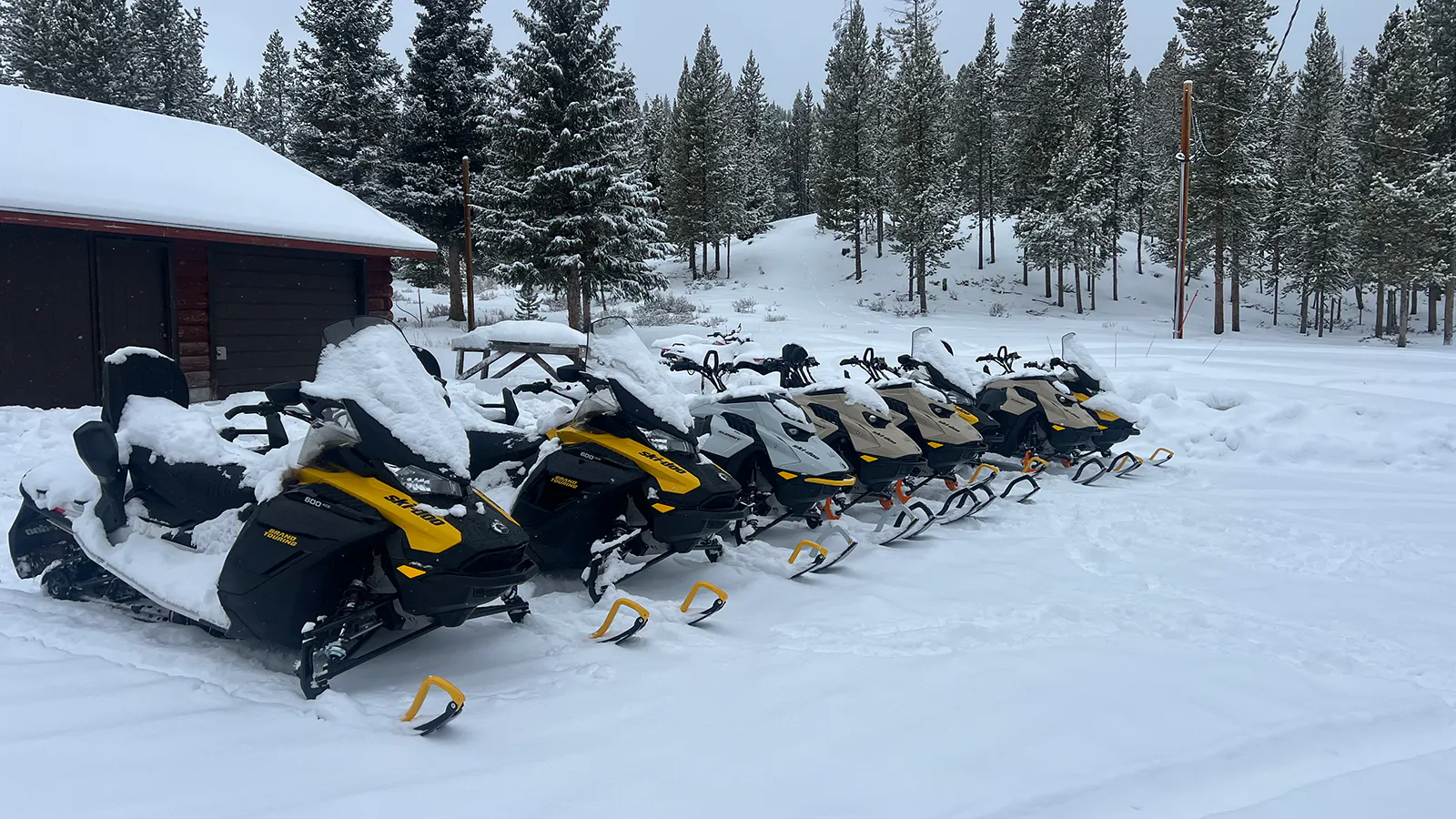 Pedigree Stage Stop Sled Dog Race Returns To Dubois After 20-Year ...