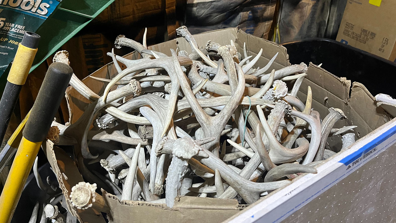 The Mighty Jackalope: Wyoming's Version Of Bigfoot Or The Loch Ness ...