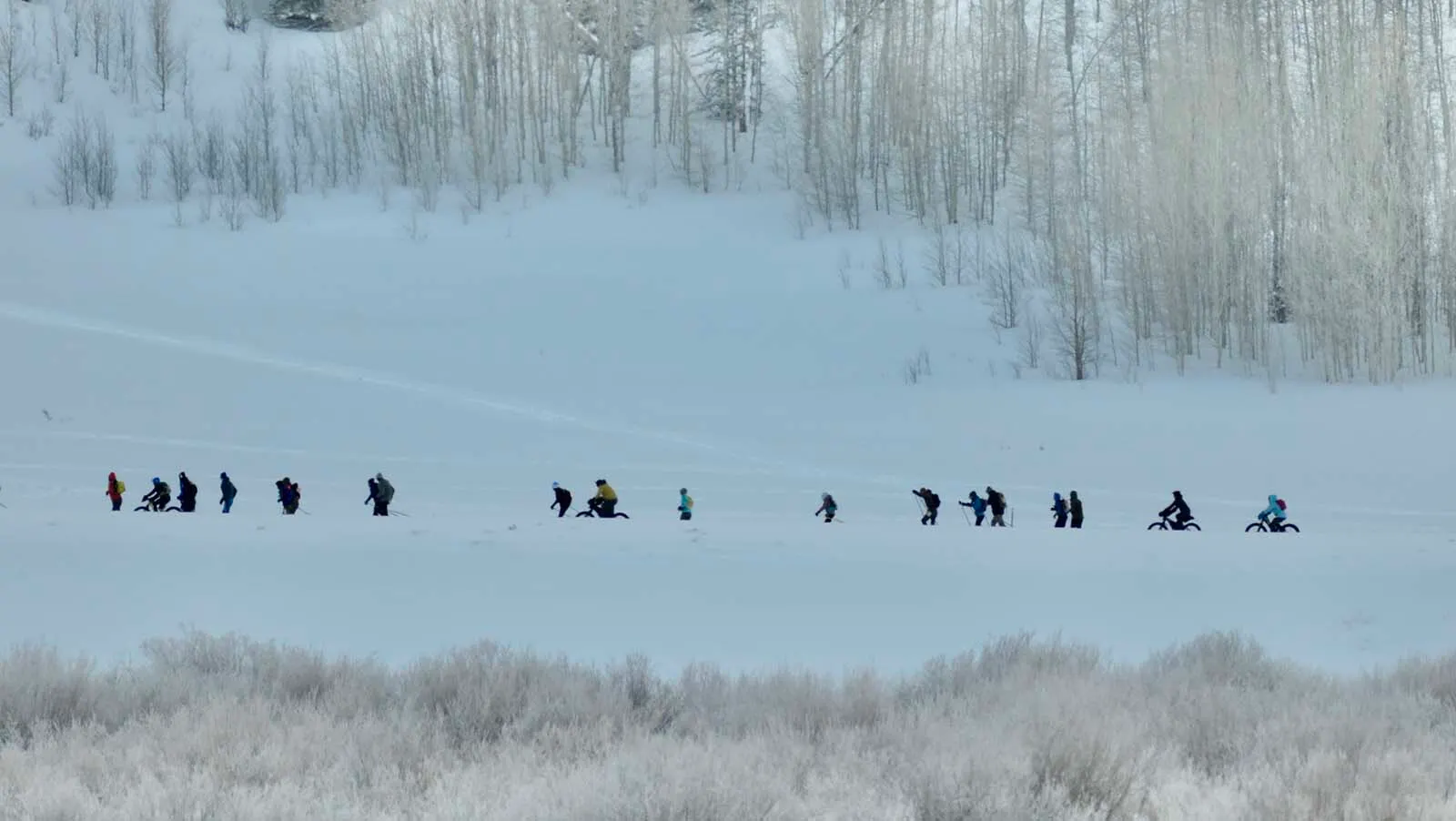 Highest Elevation Winter Ultra-Marathon Race In the US Is Wyoming's ...