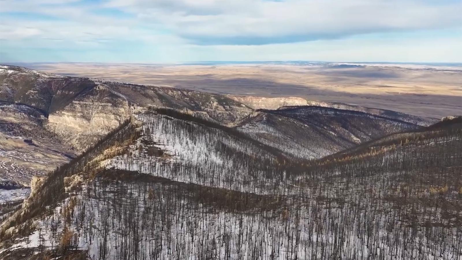 From Above, Aftermath Of Devastating 100,000-Acre Elk Fire Looks Worse ...