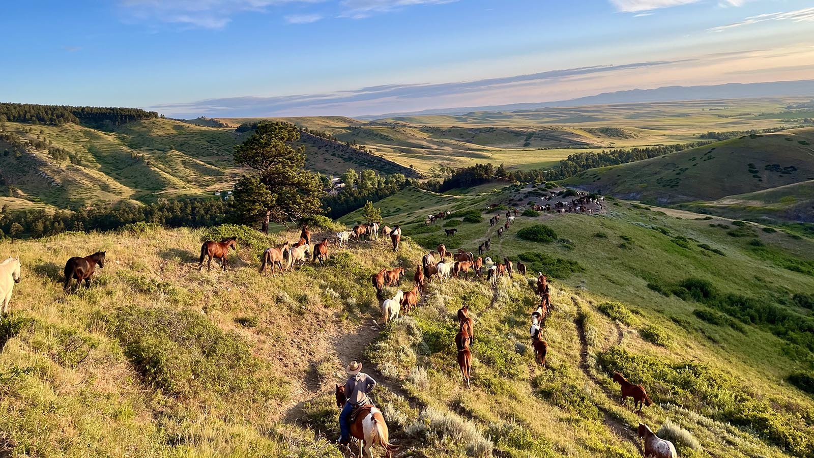 Wyoming’s Eatons’ Ranch Is America’s Oldest — And No. 1-Ranked — Dude ...