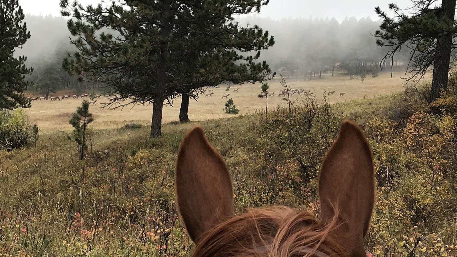 Wyoming’s Eatons’ Ranch Is America’s Oldest — And No. 1-Ranked — Dude ...