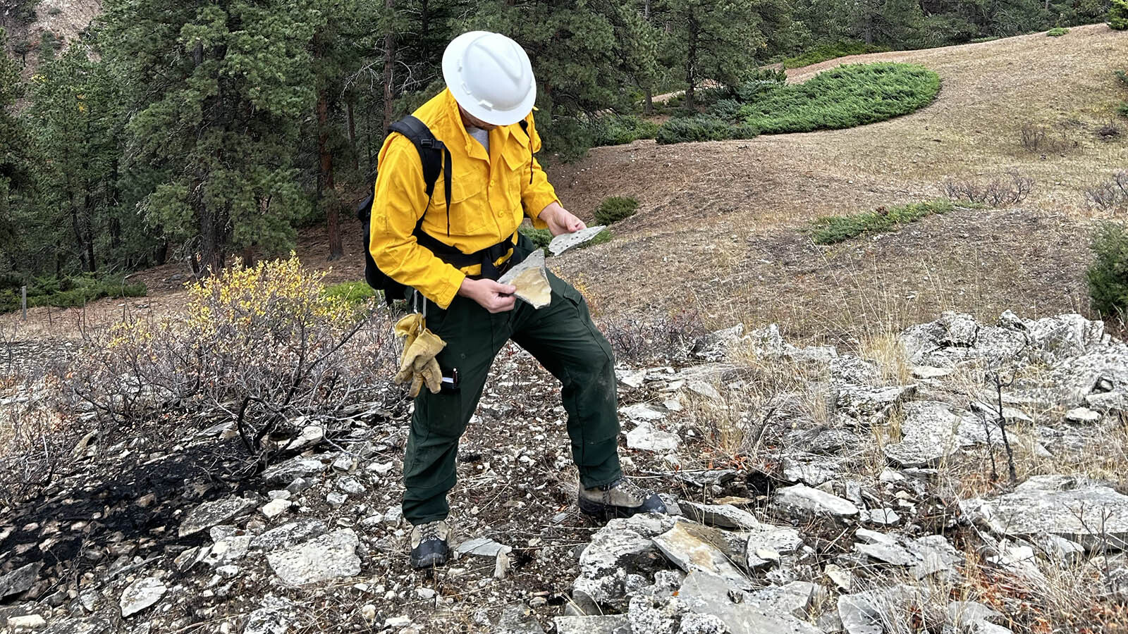 Scientists Map Out How Badly Elk Fire Damaged The 98,000 Acres It ...