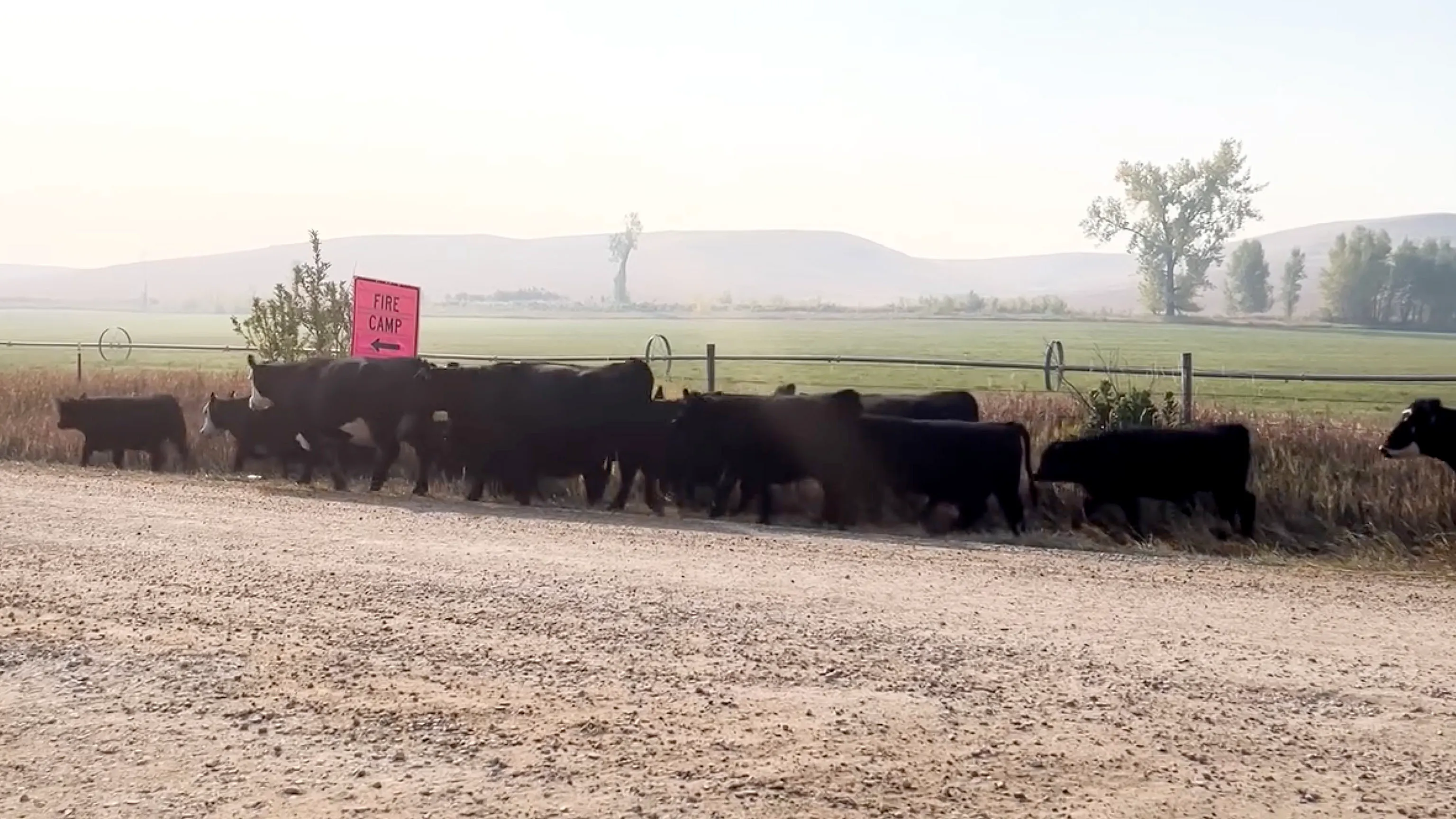“These Guys Are Heroes”: Locals Praise Crews Fighting 75,000-Acre Elk ...