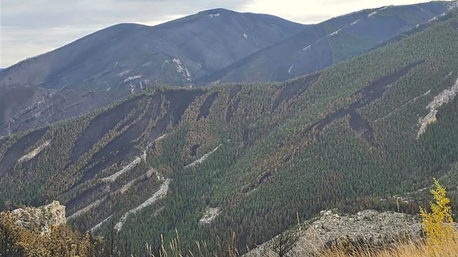 With Elk Fire 73% Contained, Locals Try To Reclaim “Some Level Of ...