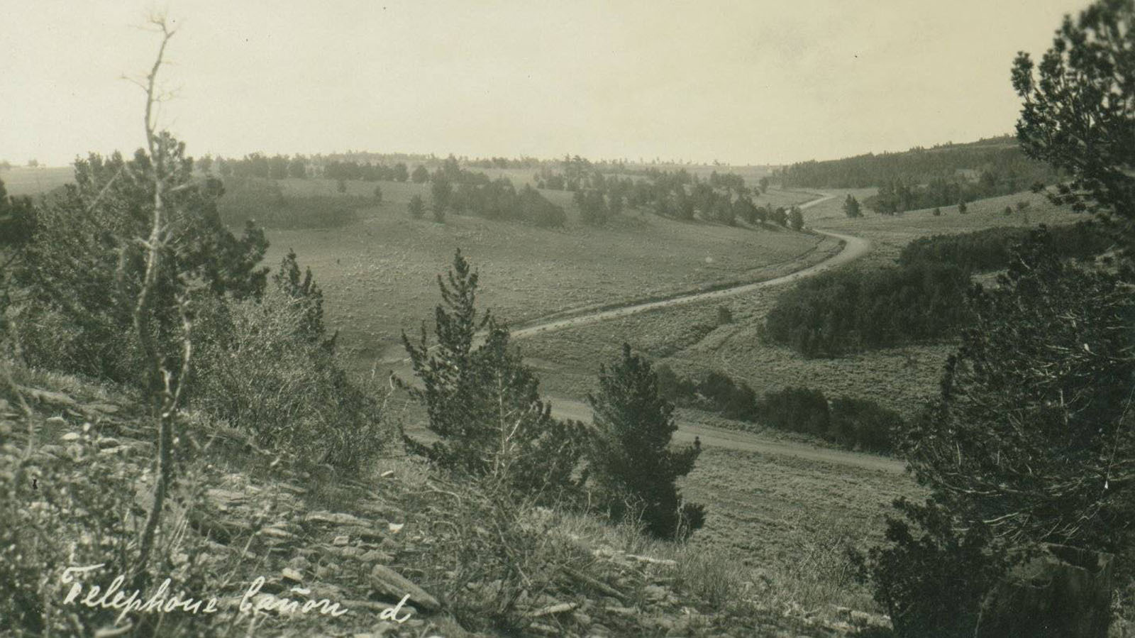 Laramie Inventor Elmer Lovejoy Built And Drove Wyoming’s First Car ...