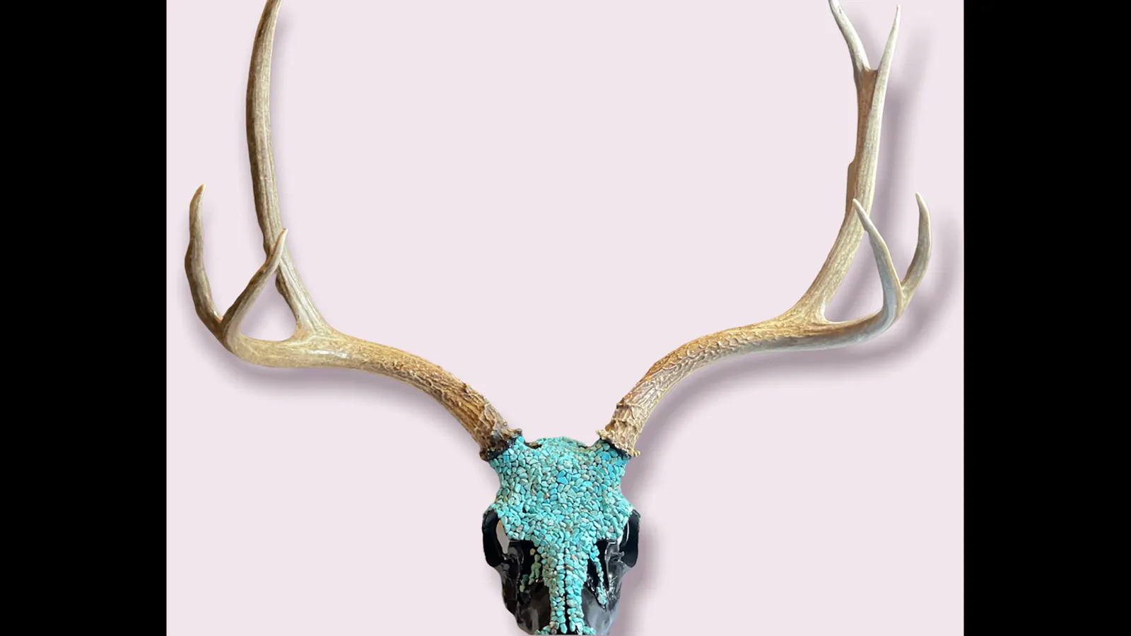 Hunting Wyoming: Sierra Mortimer, Perfecting The Art Of European Skull ...