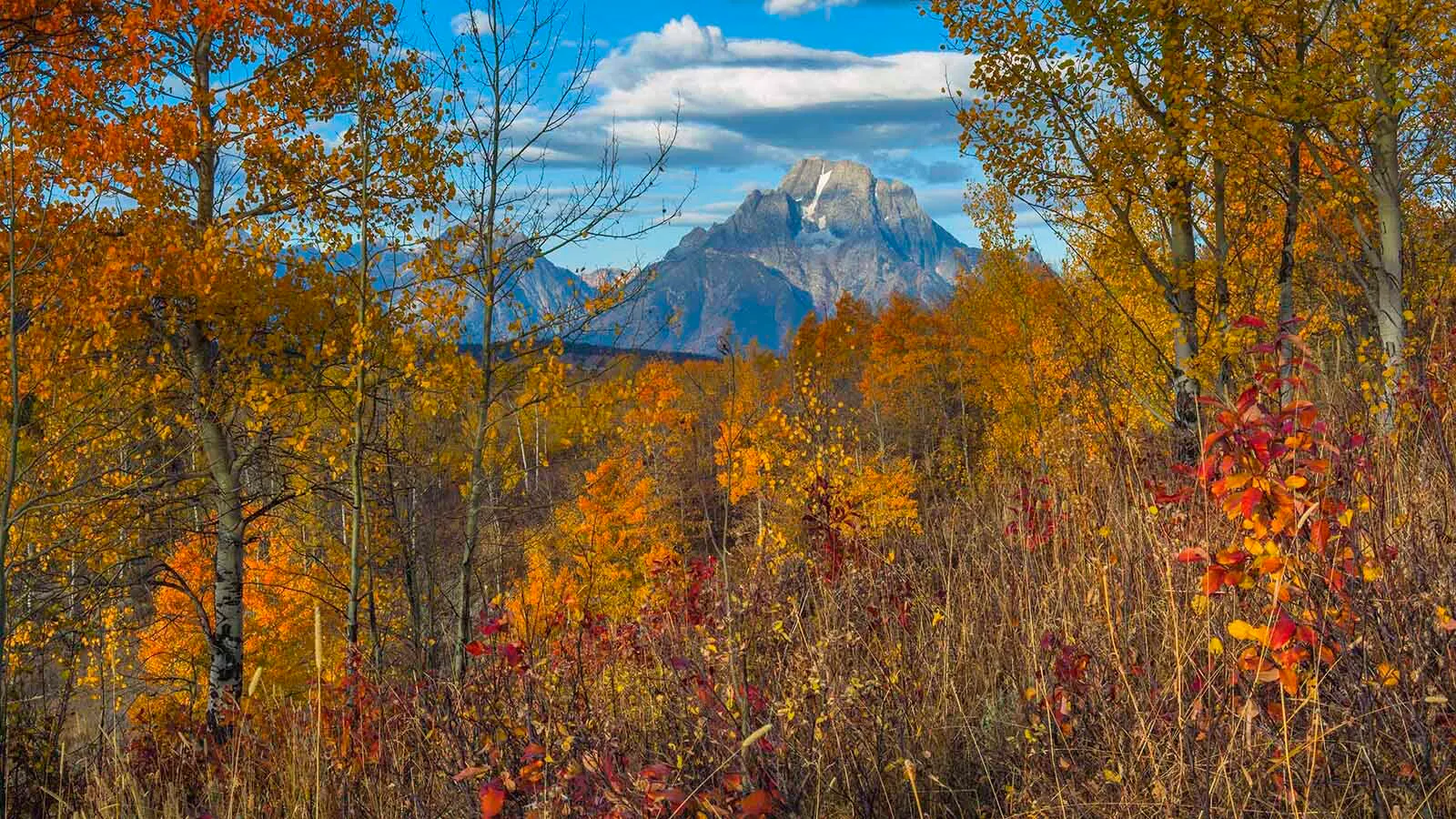 When And Where To Go To See Wyoming’s Fantastic Fall Colors | Cowboy ...