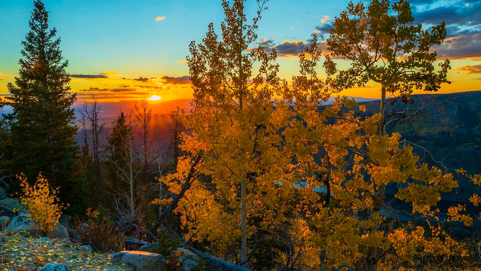 When And Where To Go To See Wyoming’s Fantastic Fall Colors | Cowboy ...