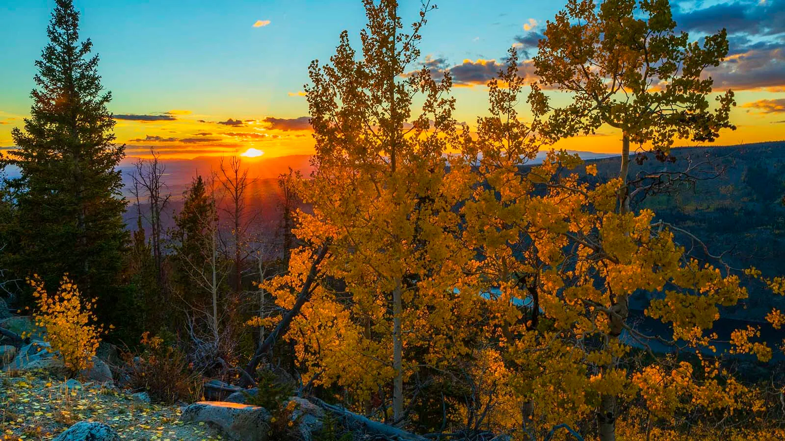 Wyoming’s Spectacular Fall Colors Peaking Now | Cowboy State Daily