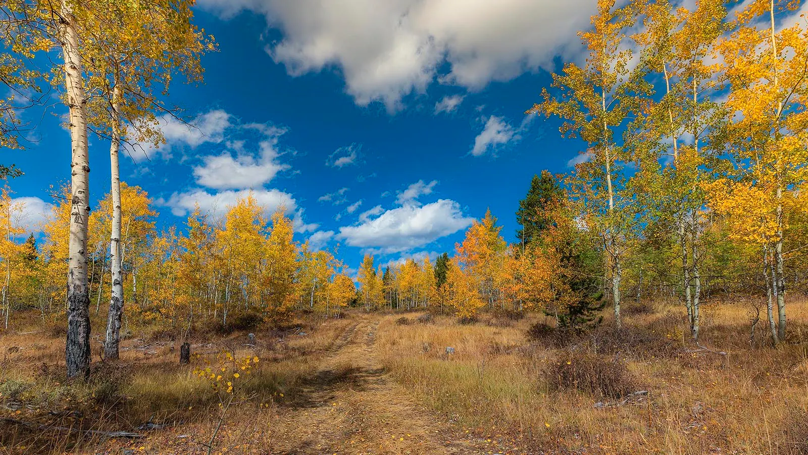 When And Where To Go To See Wyoming’s Fantastic Fall Colors | Cowboy ...