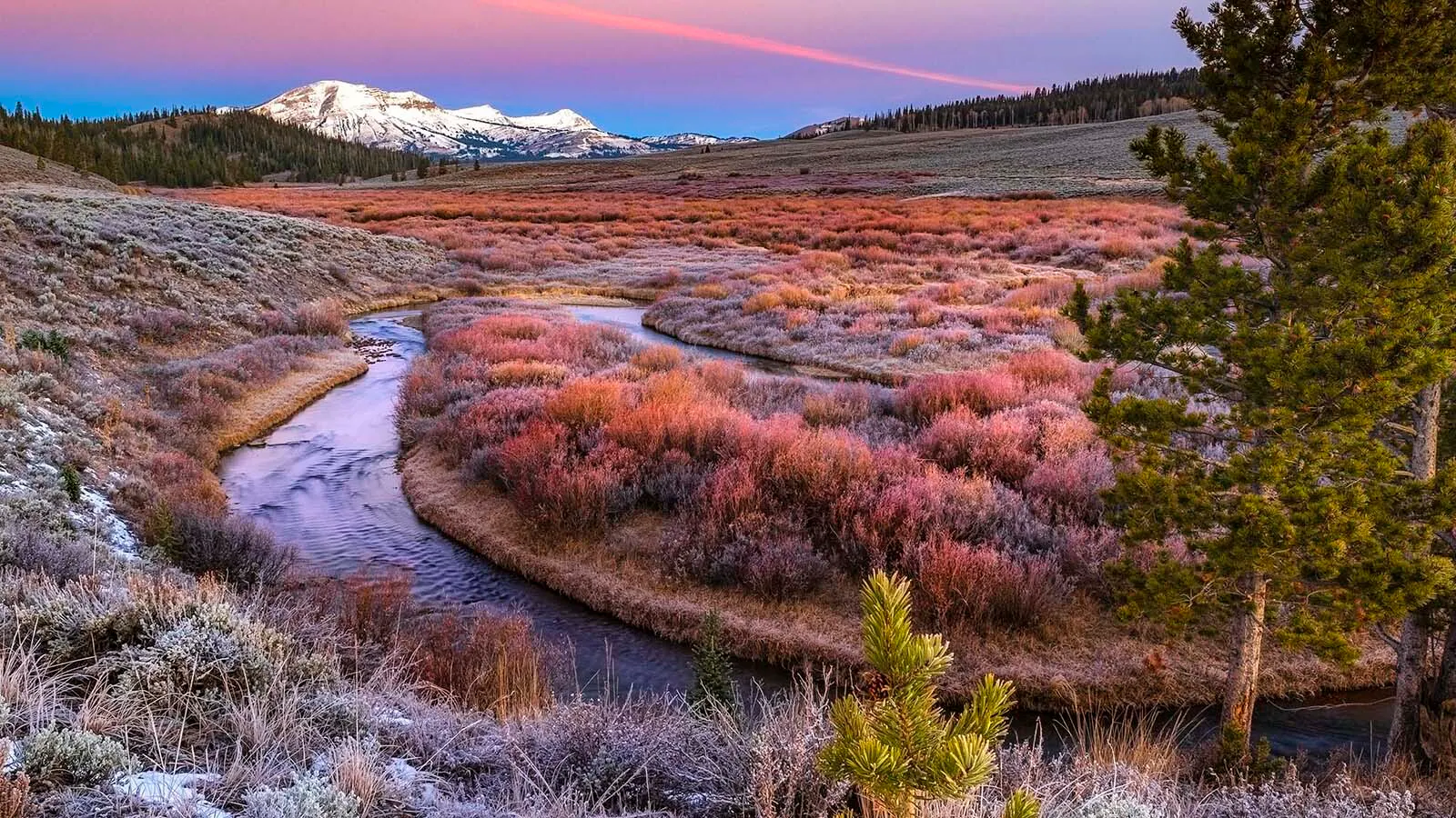 When And Where To Go To See Wyoming’s Fantastic Fall Colors | Cowboy ...