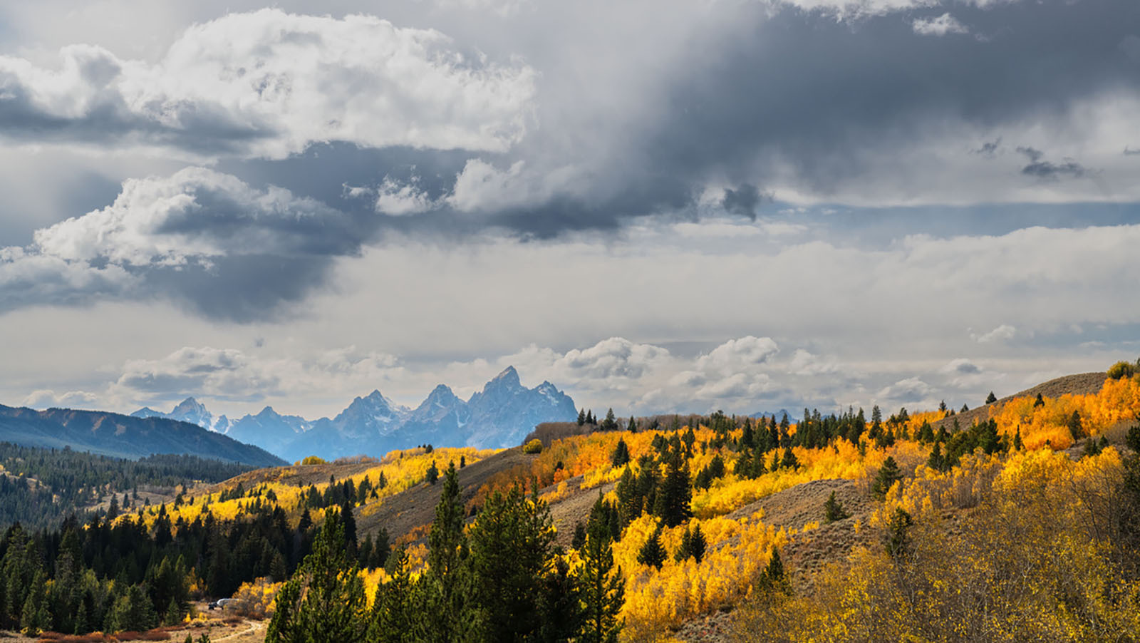 Wyoming’s Spectacular Fall Colors Peaking Now | Cowboy State Daily