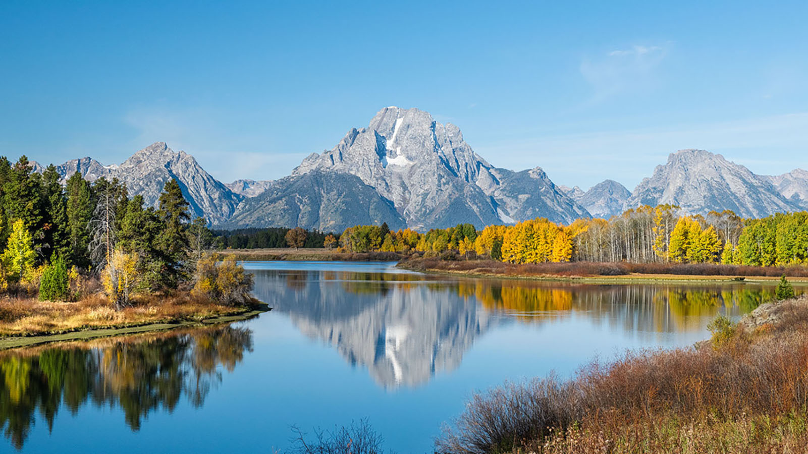 Wyoming’s Spectacular Fall Colors Peaking Now | Cowboy State Daily