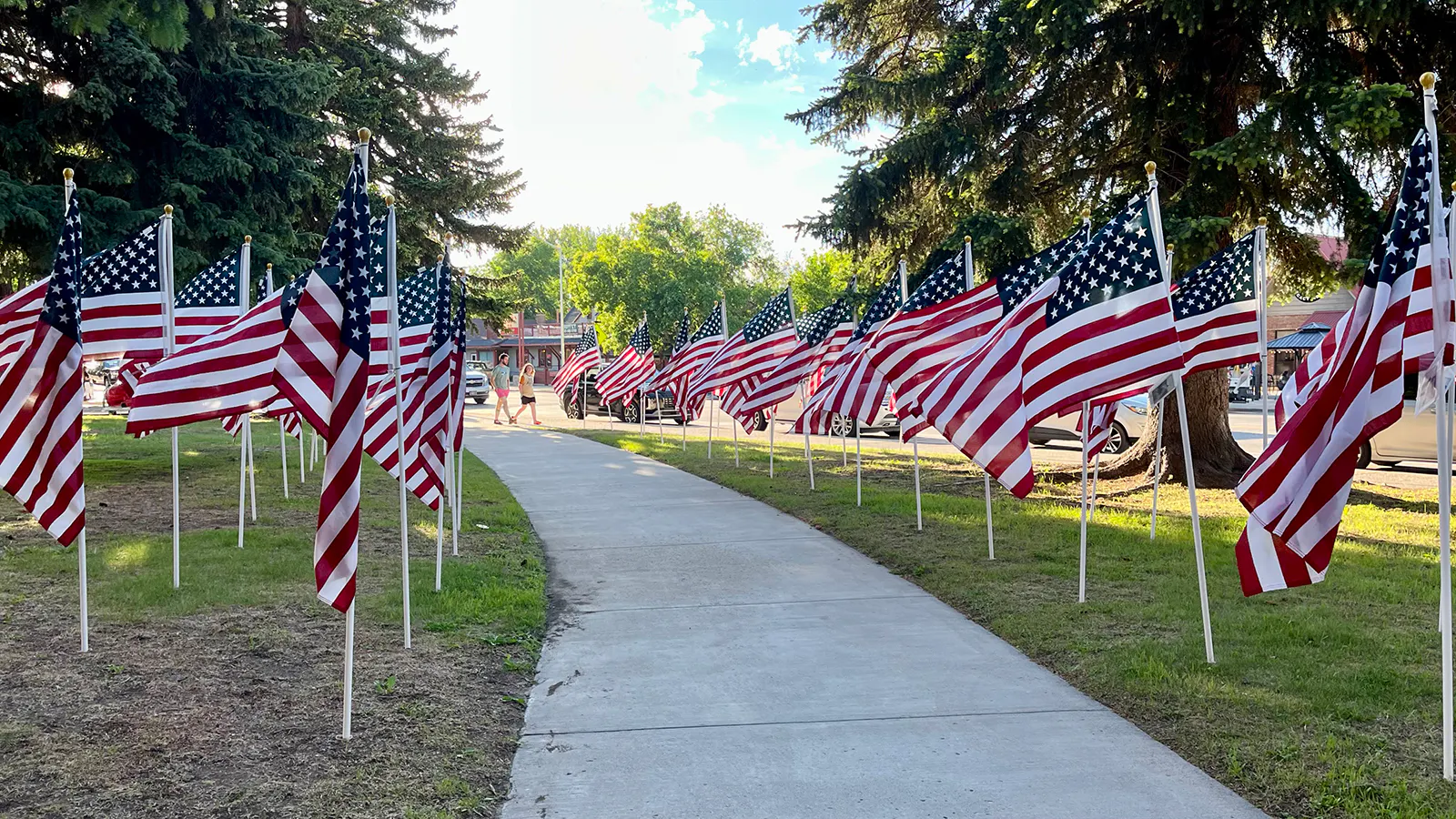 500 American Flags Line Three City Blocks As Cody’s Patriotic 'Field Of ...