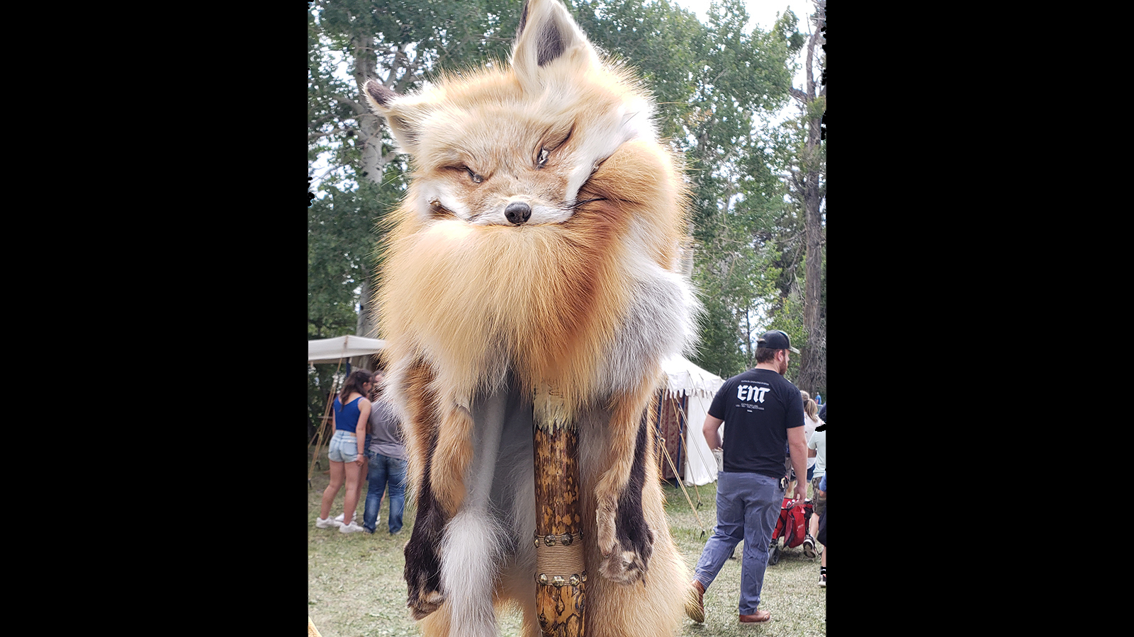 Fort Bridger Rendezvous At 50 Draws 60,000, Is One Of Largest In The US ...