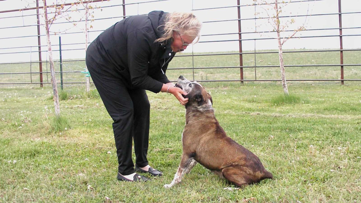 Gillette Family Stunned When Dog That Ran Away 10 Years Ago Finds Her ...