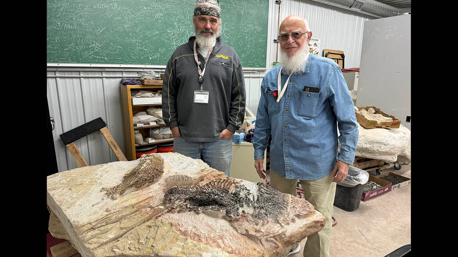 Wyoming Rancher Discovers Rare Cache Of 50 Million-Year-Old Fossilized ...