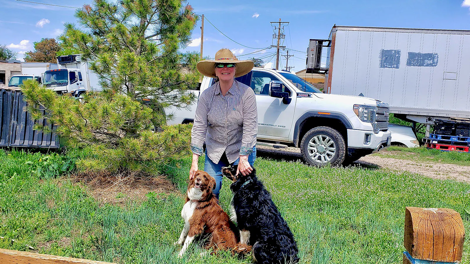 Cheyenne Brings In 500 Goats To Battle Weeds | Cowboy State Daily