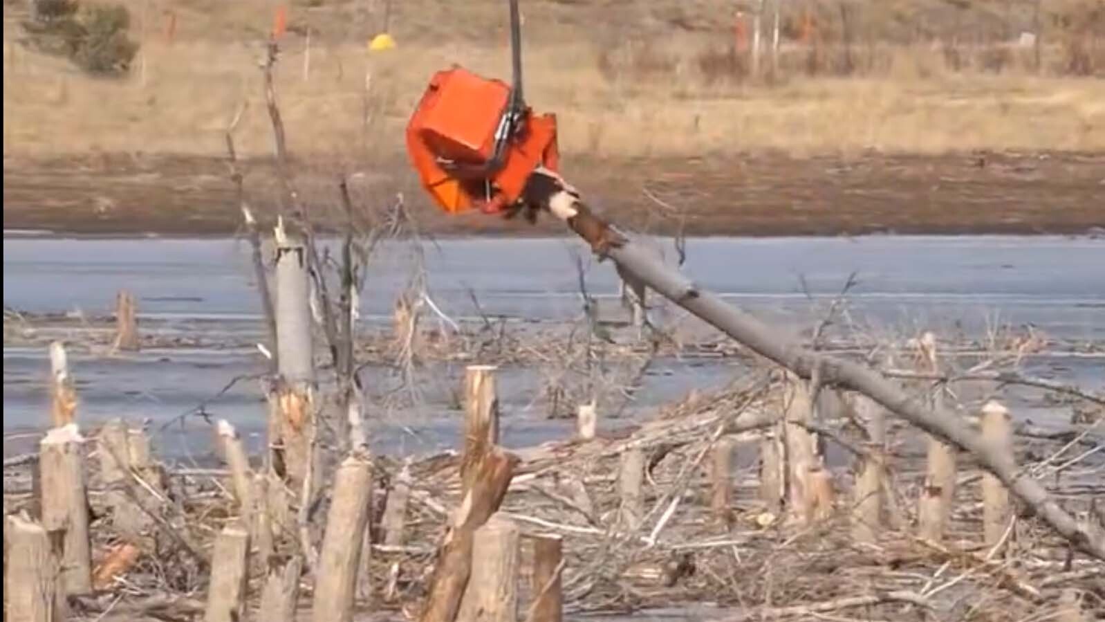 Helicopter Plucks Trees From Colorado State Parks Like An Arcade Claw ...