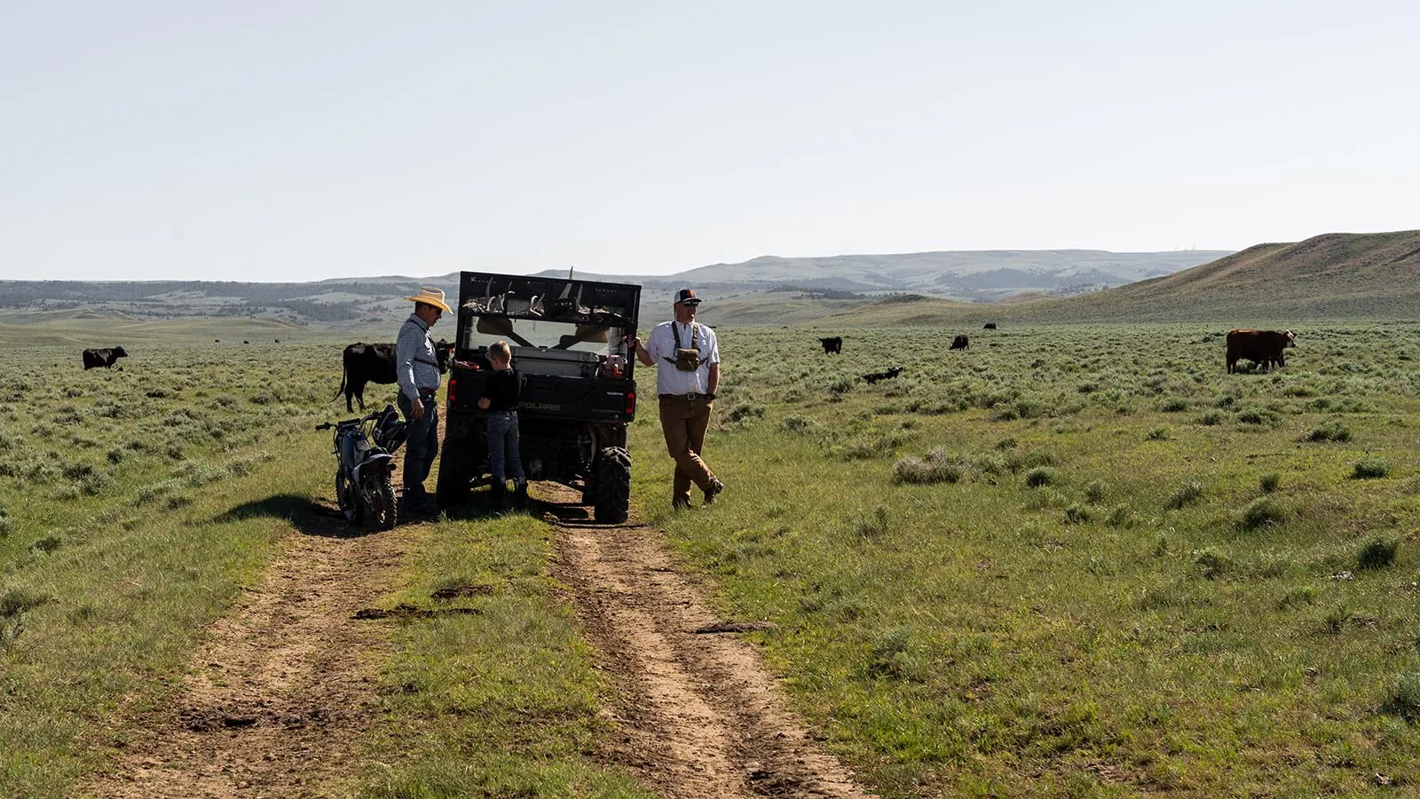 Wild Horse Basin Ranch, 92,000 Green Acres Near Casper, Lists For $45 ...