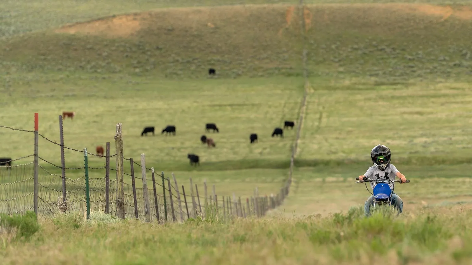 Wild Horse Basin Ranch, 92,000 Green Acres Near Casper, Lists For $45 ...