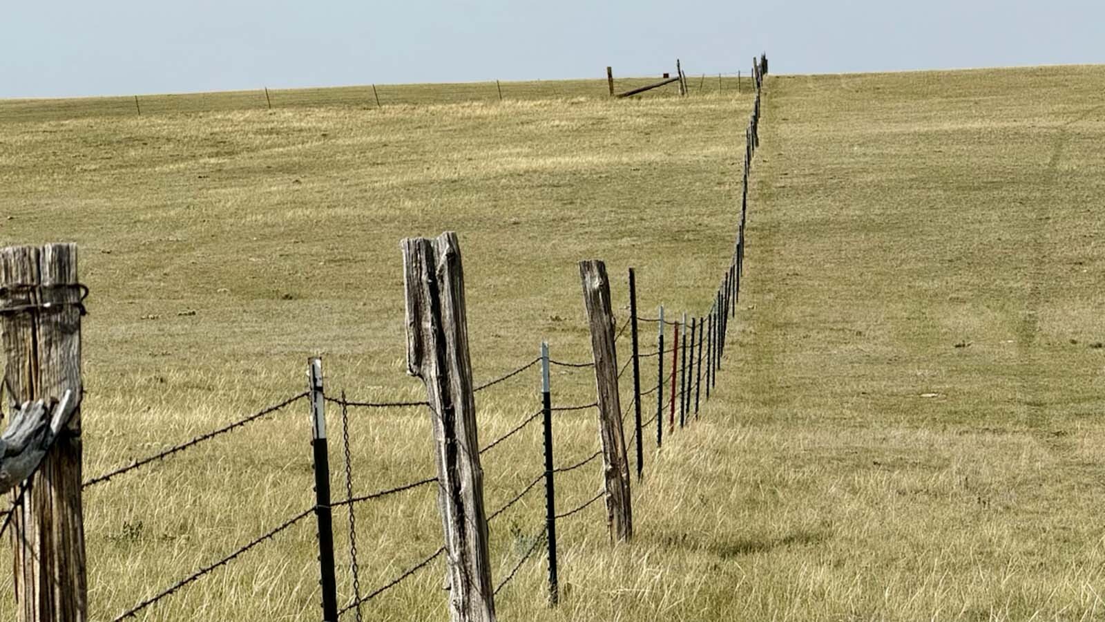 Wyoming Ranchers Divided Over 50,000-Acre Laramie County Wind Farm Plan ...