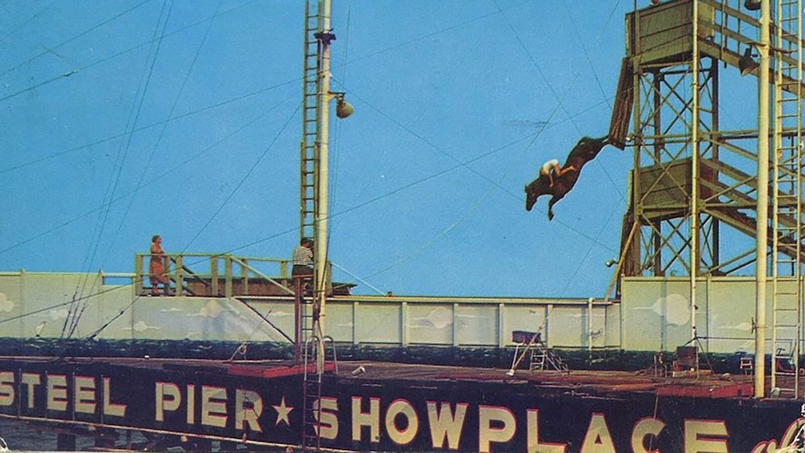 For 100 Years, Horse Diving Was A Thing, And Was Every Bit Crazy As It ...