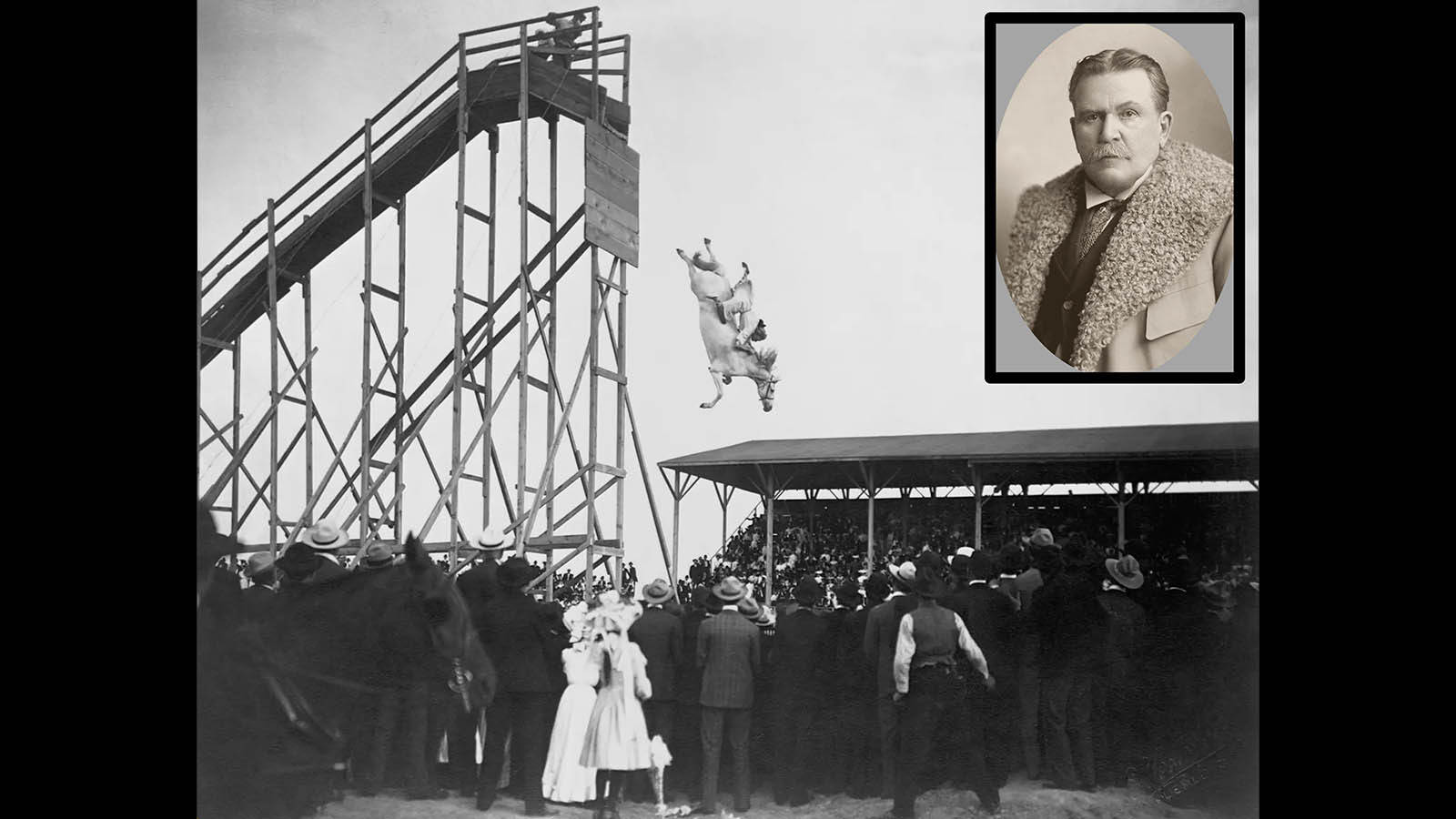 For 100 Years, Horse Diving Was A Thing, And Was Every Bit Crazy As It ...