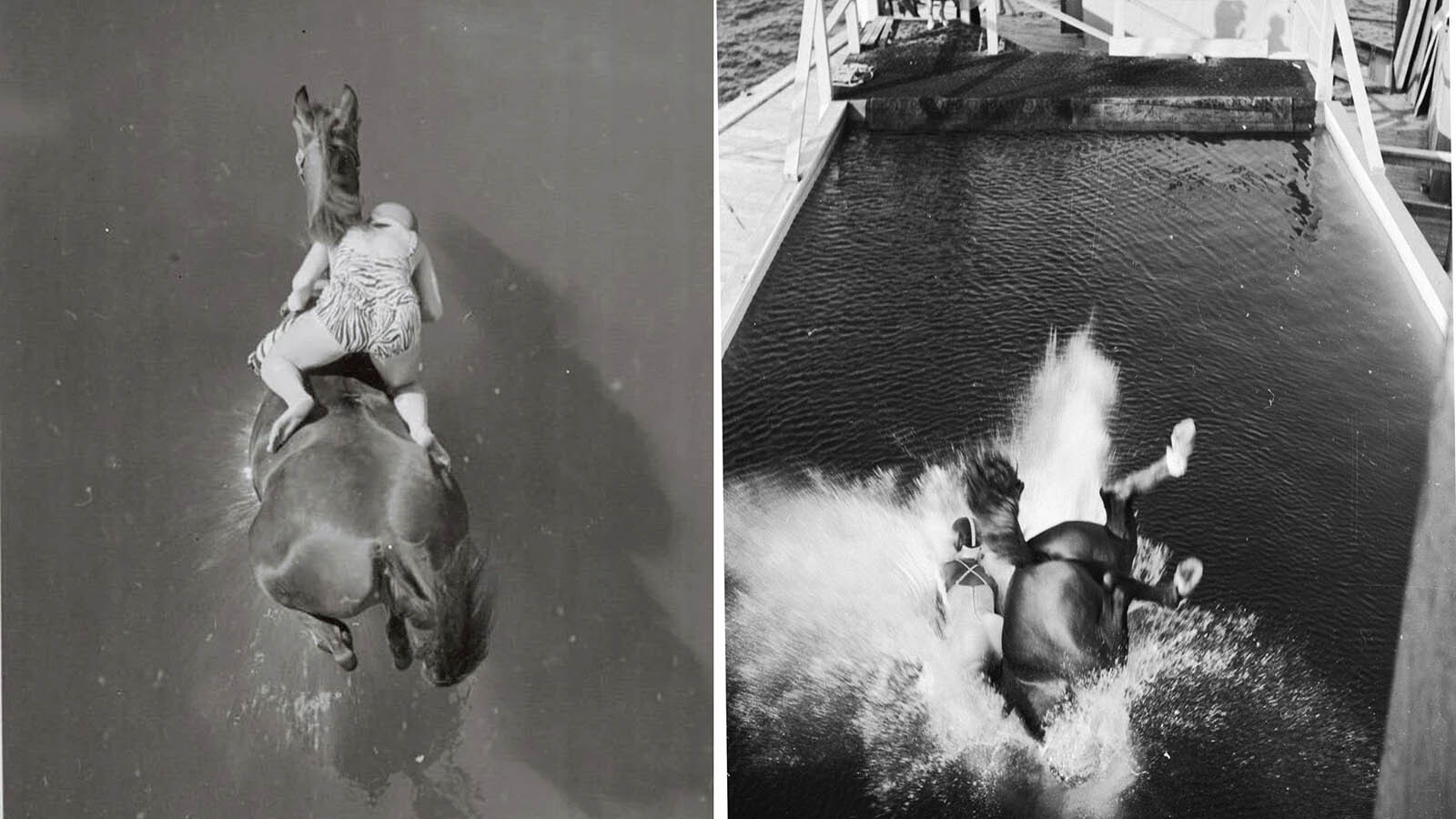 For 100 Years, Horse Diving Was A Thing, And Was Every Bit Crazy As It ...