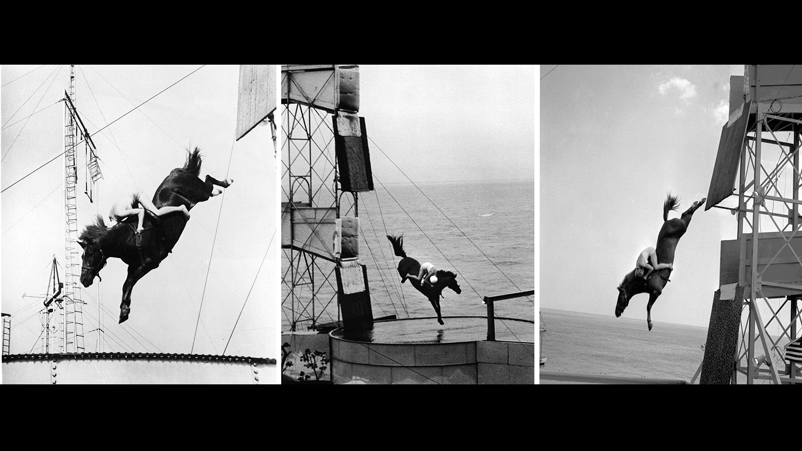 For 100 Years, Horse Diving Was A Thing, And Was Every Bit Crazy As It ...