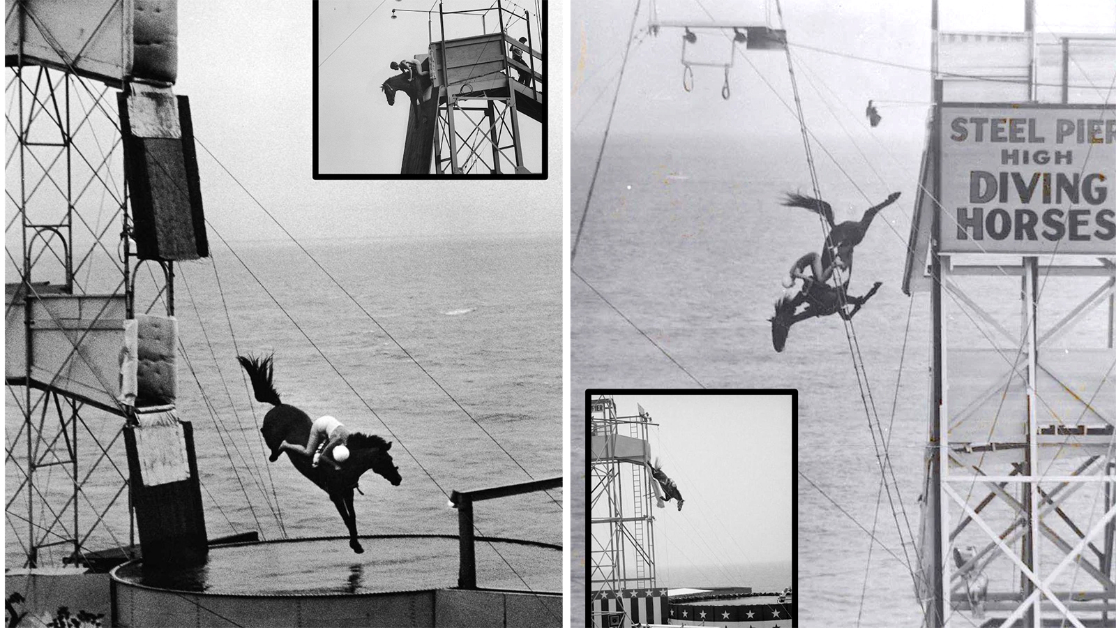 For 100 Years, Horse Diving Was A Thing, And Was Every Bit Crazy As It ...
