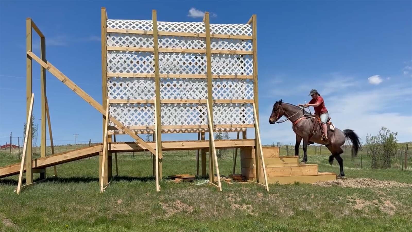 How To Train The Perfect Trail Horse | Cowboy State Daily
