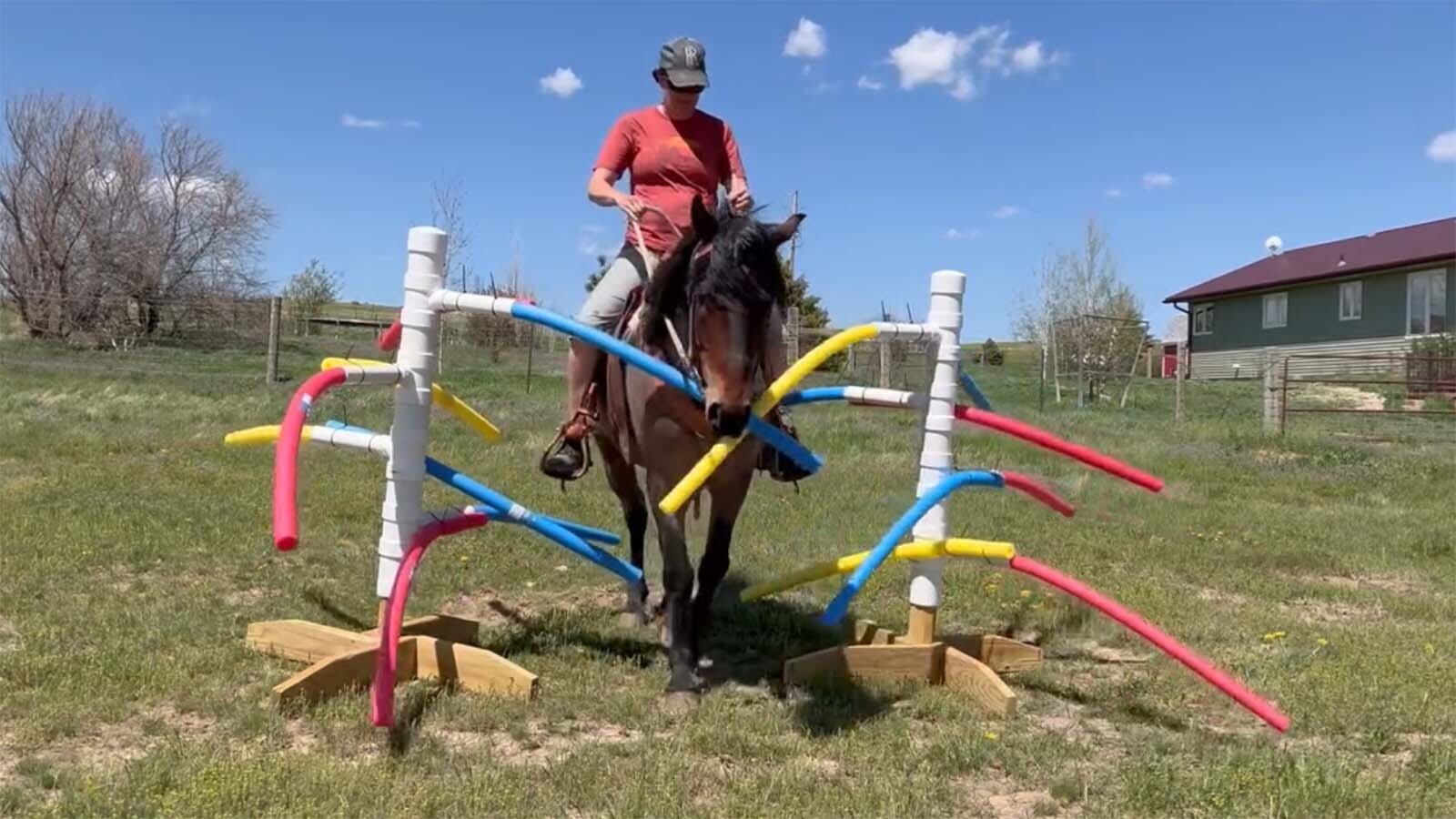 How To Train The Perfect Trail Horse | Cowboy State Daily