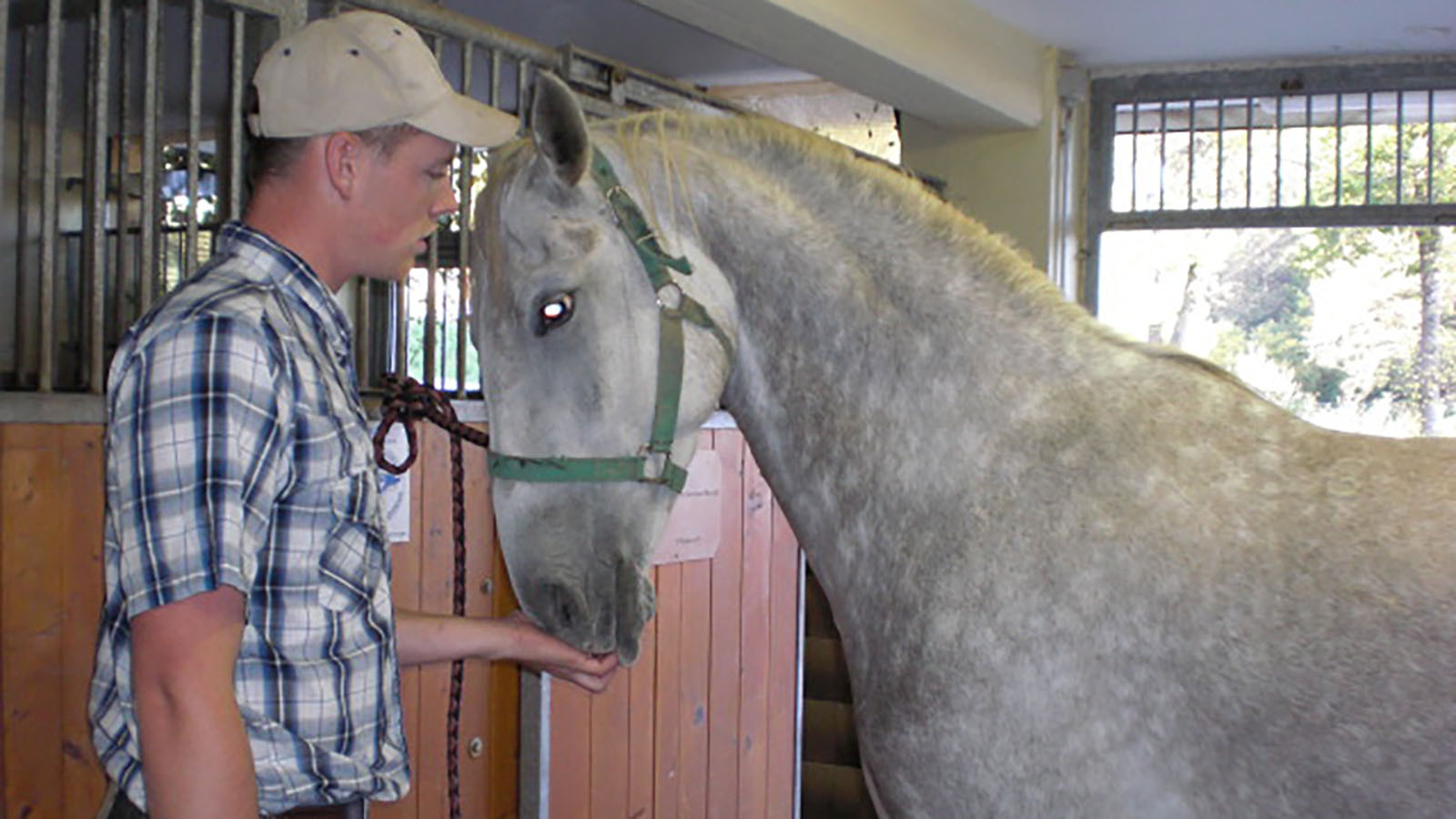 The Horse Realtor: Wyoming Real Estate Agent Focuses On Properties For ...