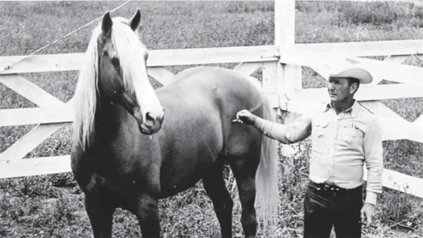 Legendary Trainer Behind Trigger And ‘Ben Hur’ Chariot Race Got His ...