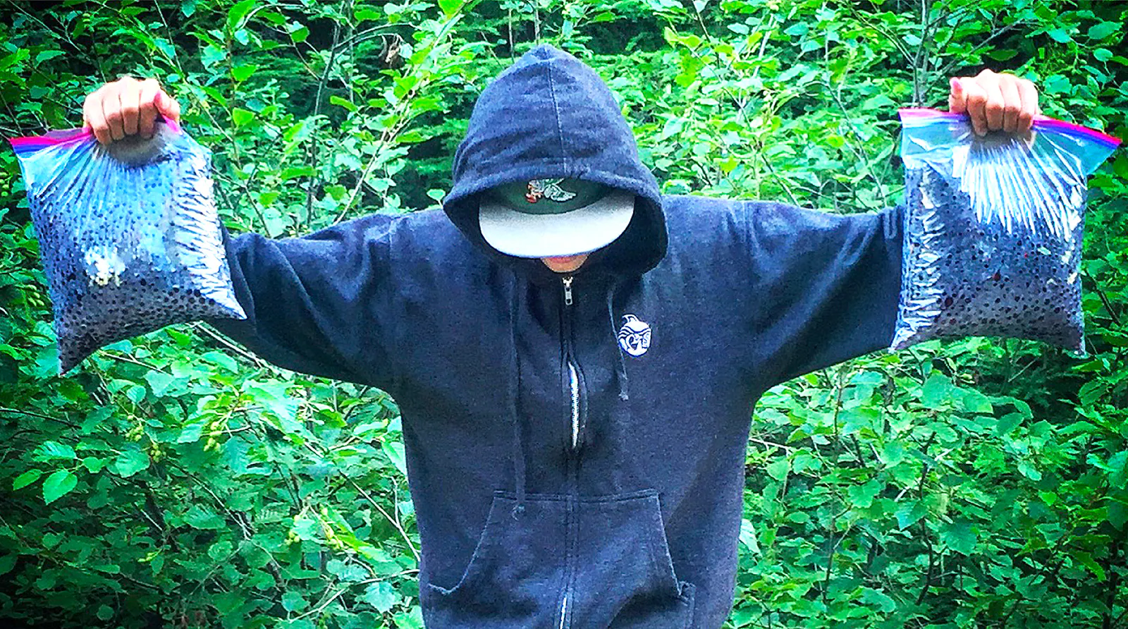 It’s Huckleberry Season, But Don’t Ask A Picker Where To Find Them ...
