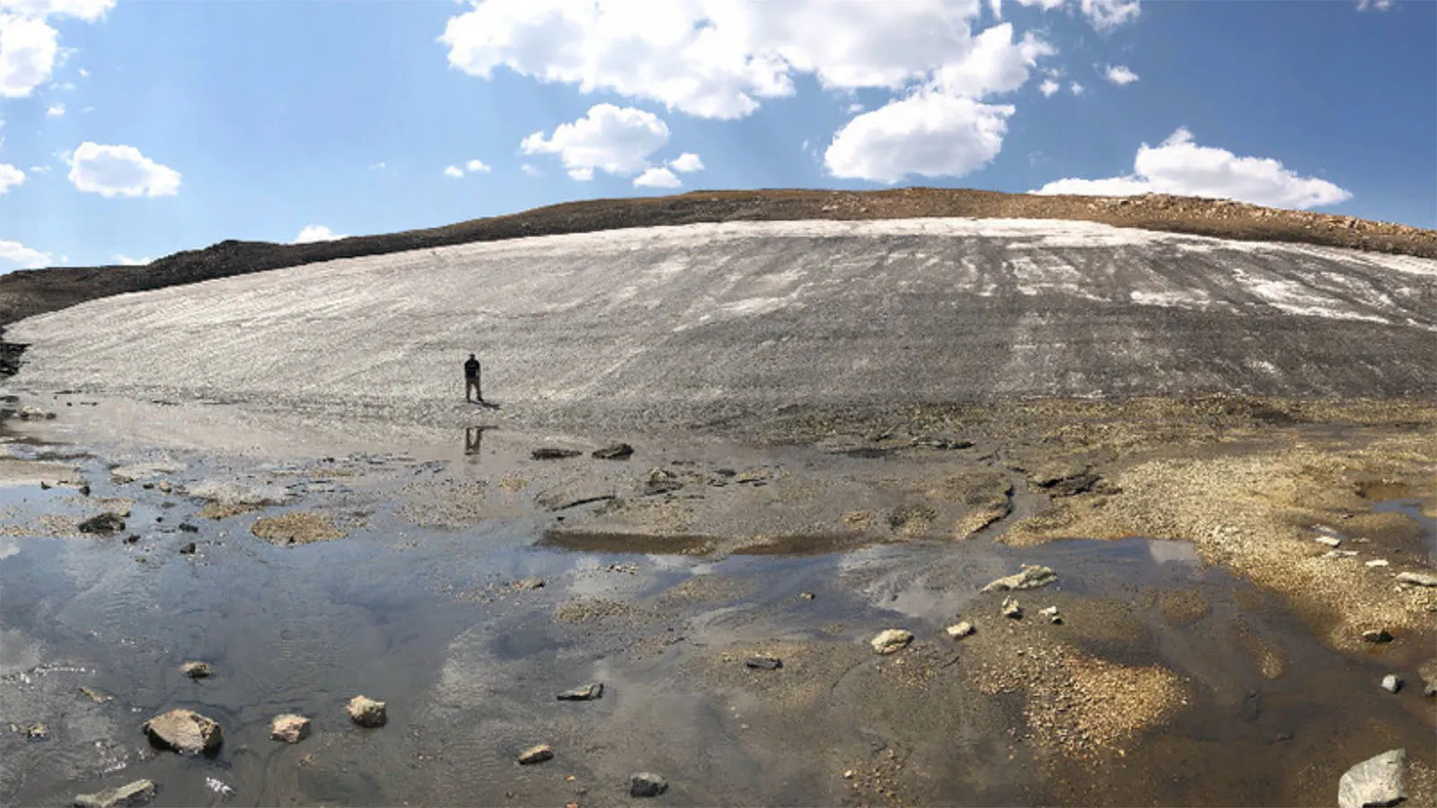 Ancient Ice Forests In Beartooth Mountains Give Up 6,000-Year-Old ...