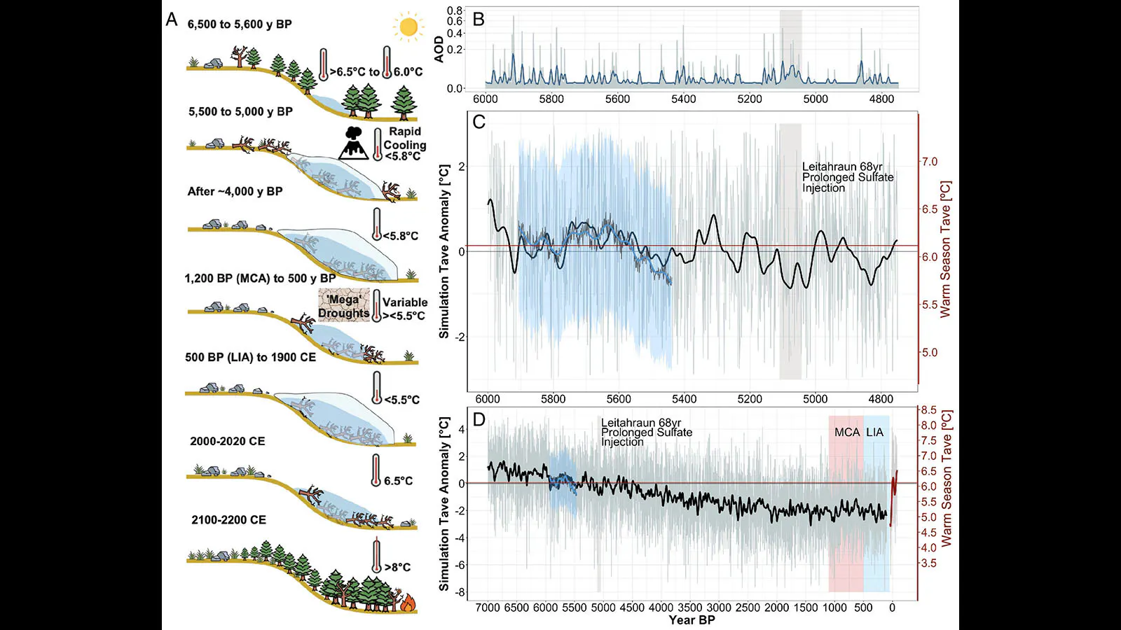 Ancient Ice Forests In Beartooth Mountains Give Up 6,000-Year-Old ...