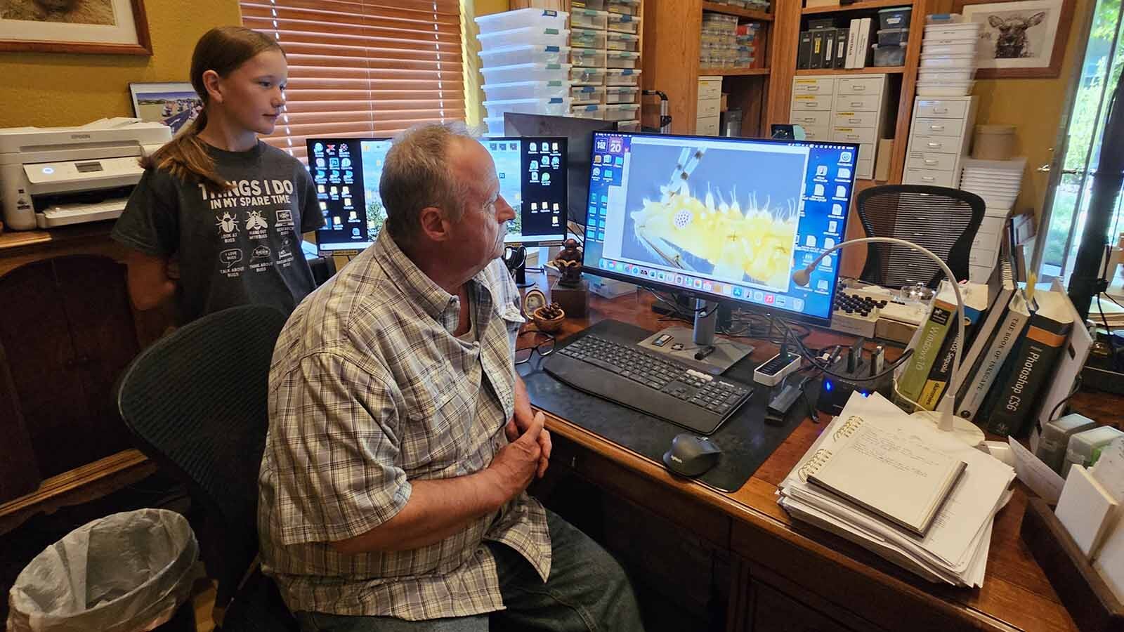 Wyoming’s Insect Cowboy Has Discovered New Bugs That Are In The ...