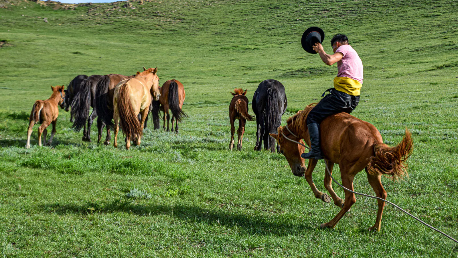 Globetrotting Wyoming Wrangler J.B. Zielke Has Cowboyed On Six ...