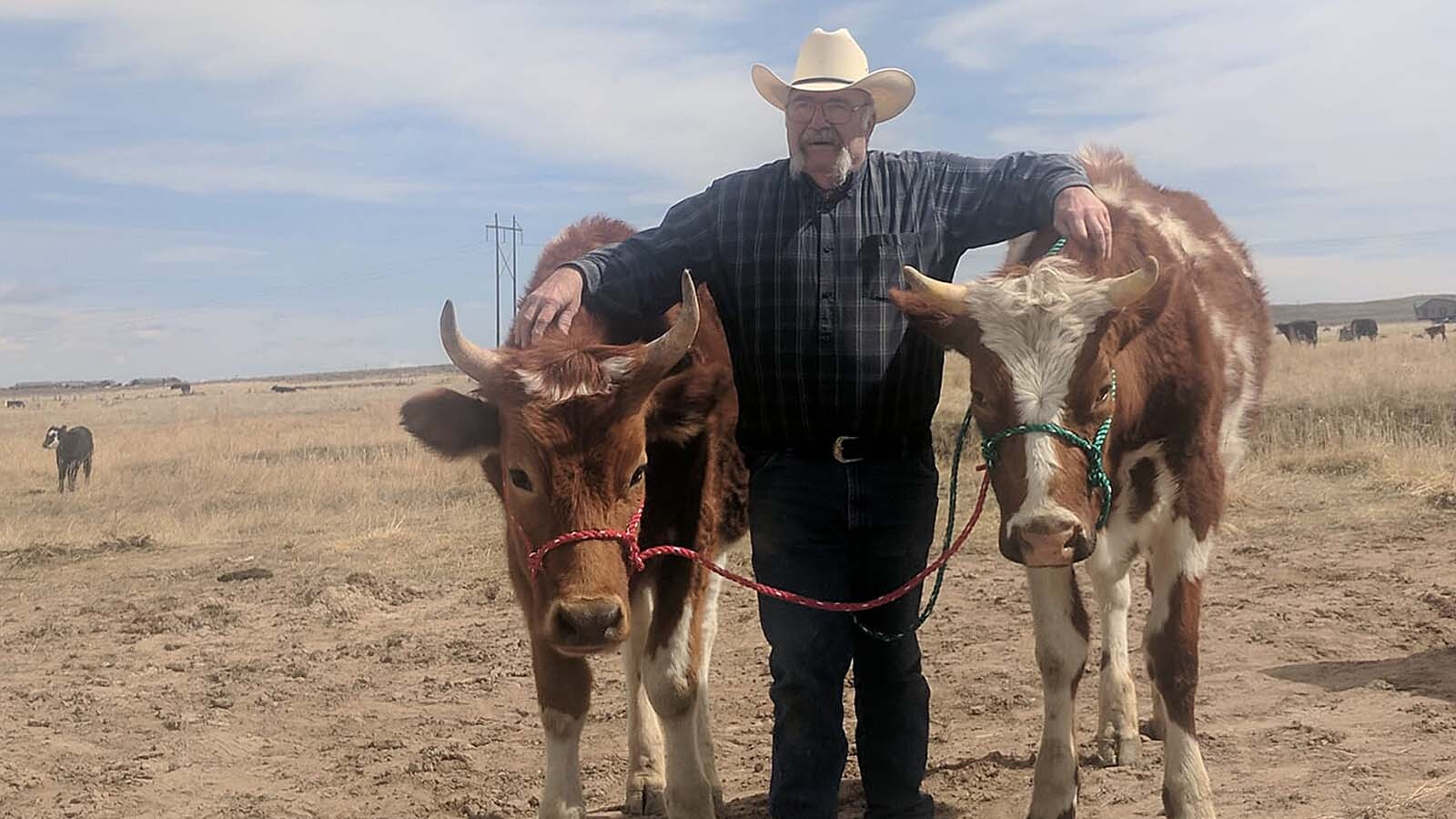 Wyoming Rancher Was At The Birth Of Certified Angus Beef — Drinking ...