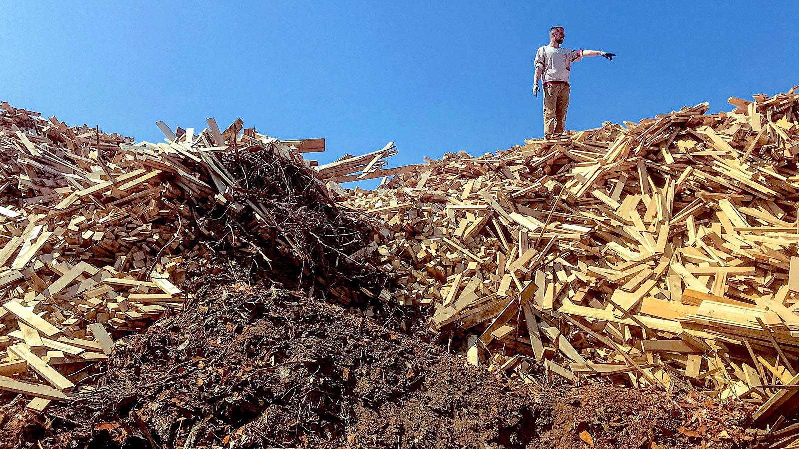 What’s With That Giant Wooden Troll Hiding In The Woods In Jackson ...
