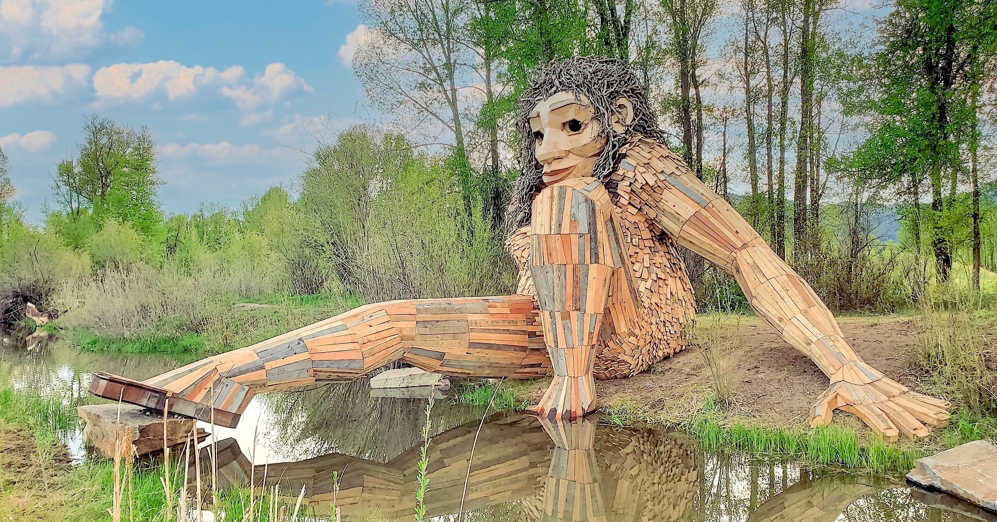 What’s With That Giant Wooden Troll Hiding In The Woods In Jackson ...