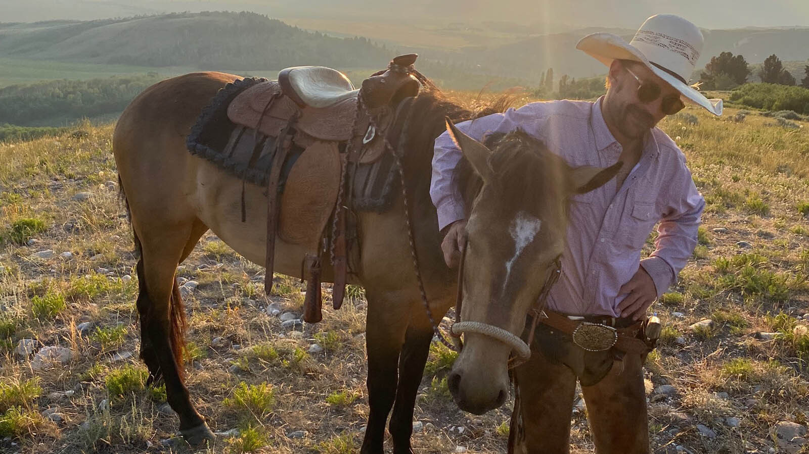 Robot Horses Are Coming — Would A Real Wyoming Cowboy Ride One ...