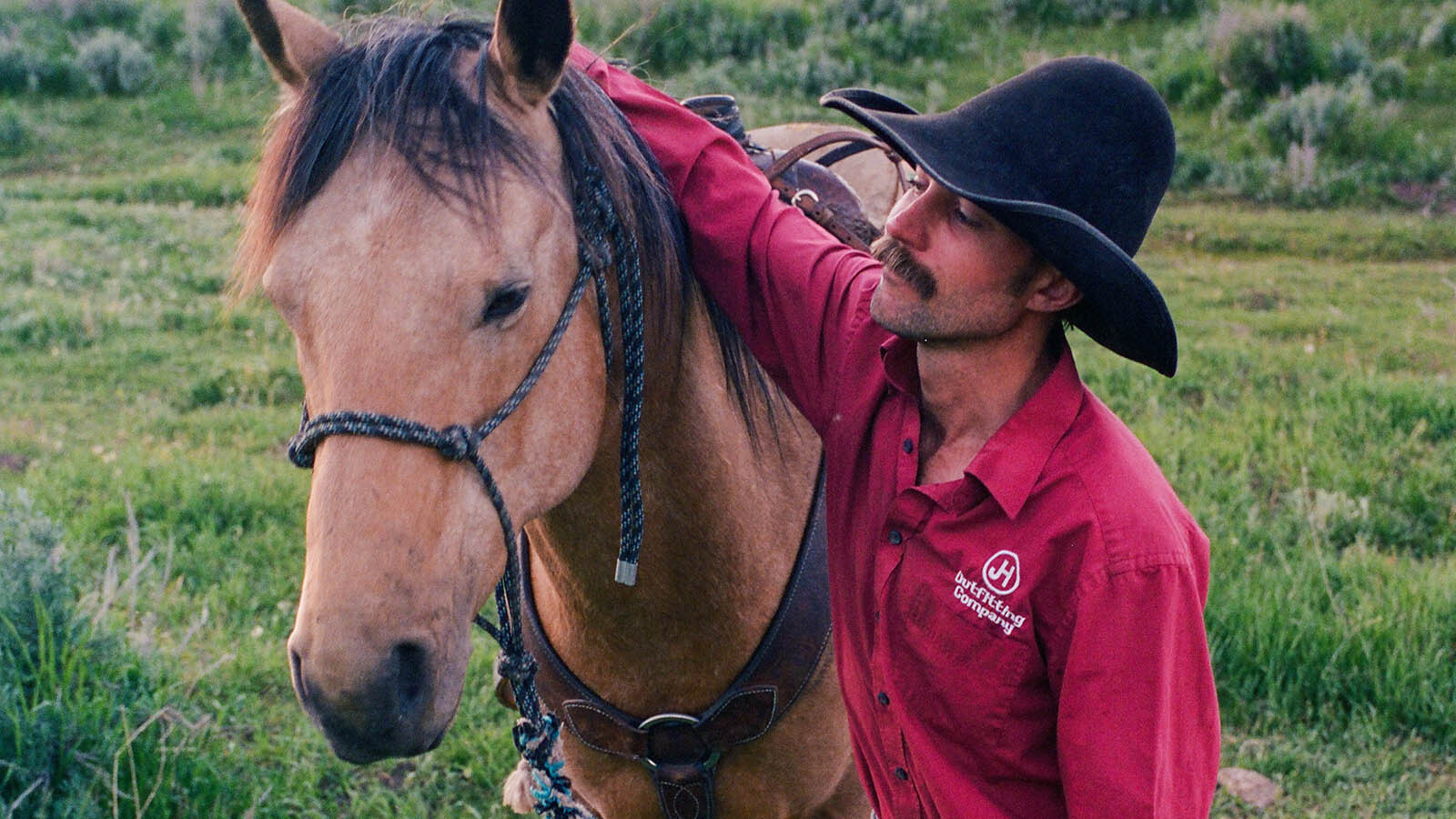 Robot Horses Are Coming — Would A Real Wyoming Cowboy Ride One ...