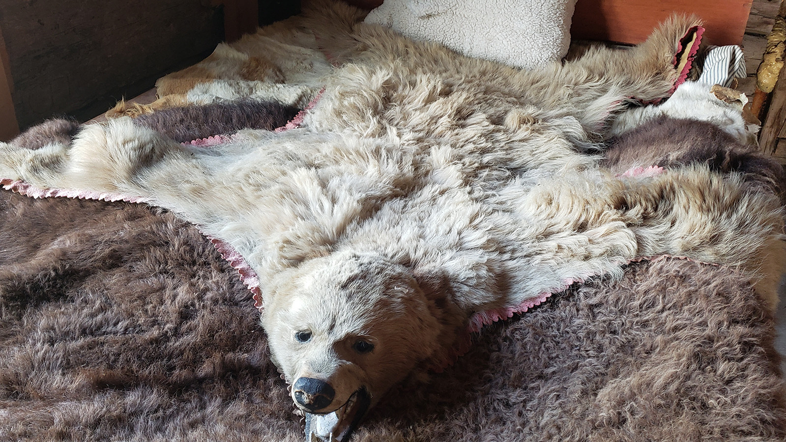 Race On To Save Mountain Man Jim Baker’s Rotting 152-Year-Old Wyoming Cabin | Cowboy State Daily