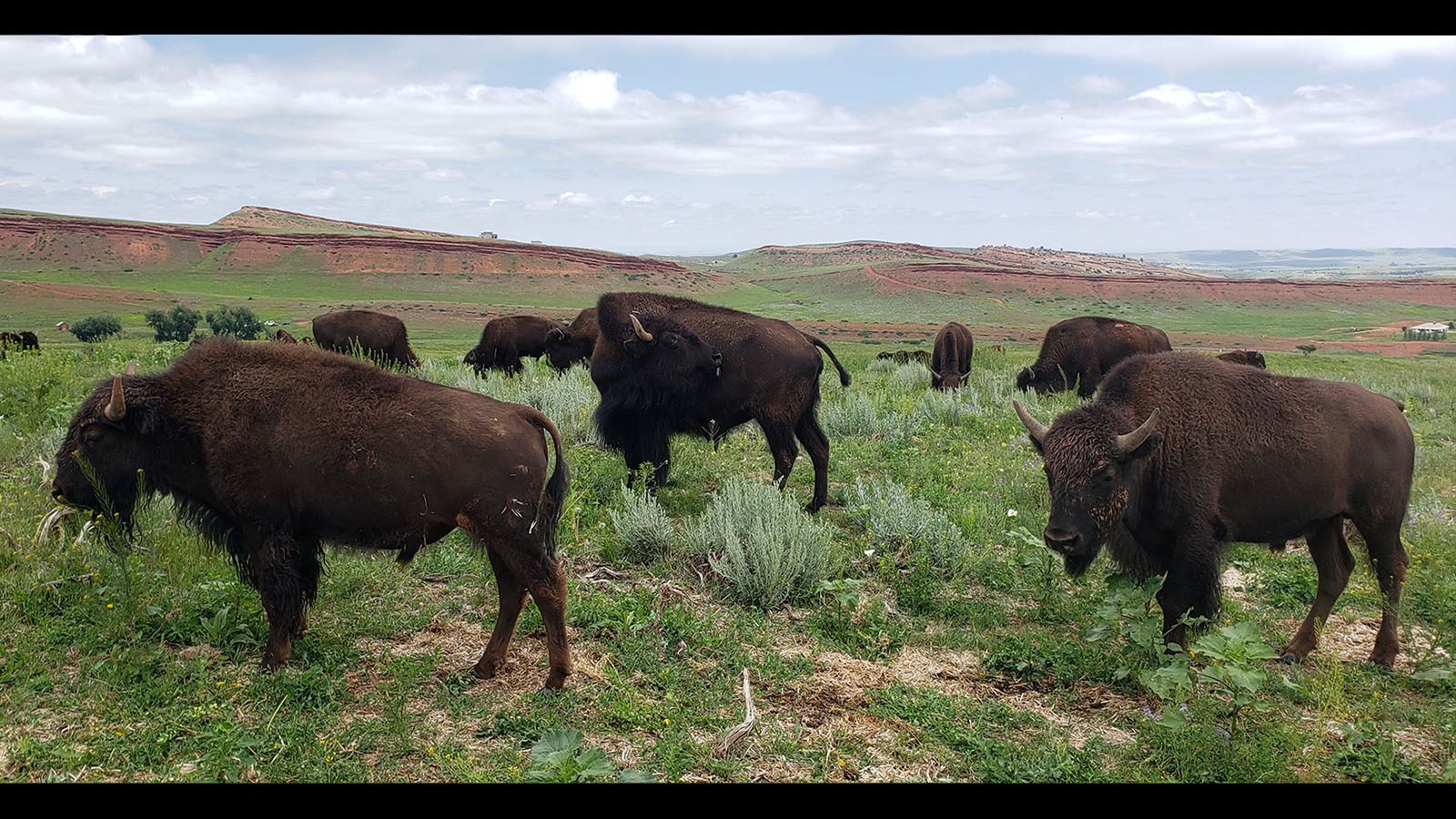 History Channel's Josh Kirk Is A Modern-Day Wyoming Mountain Man ...