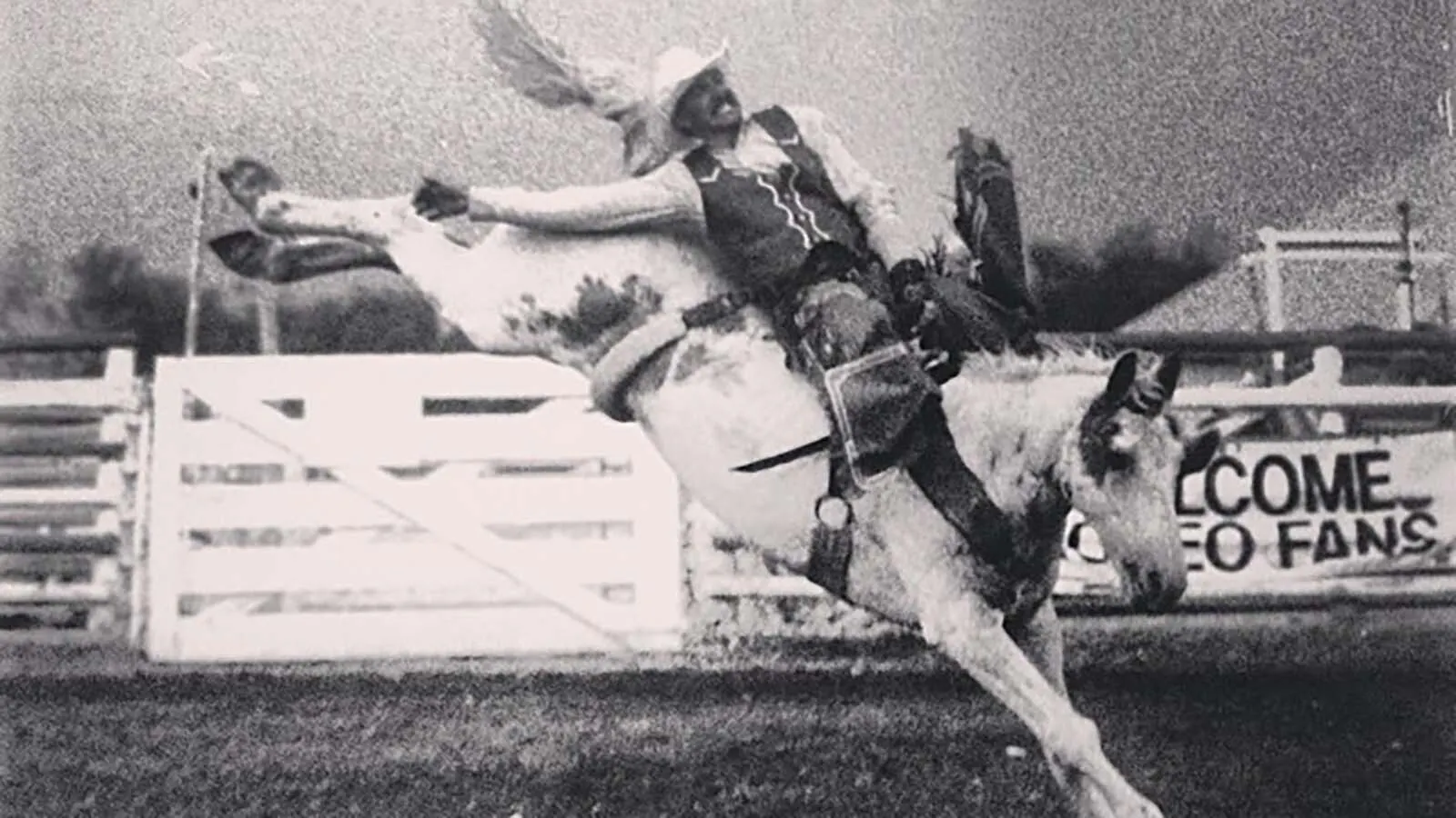 Meet Dr. Cowboy, The Animal Chiropractor Putting More Buck Into Rodeo ...